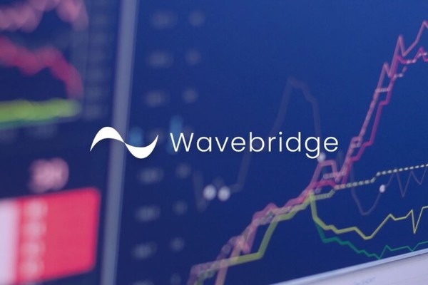 웨이브릿지, 한국 기업 최초로 글로벌 가상자산 지수 개발
